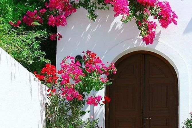 Rhodes, Lindos and Medieval City Guided Tour From Cruise Port - Inclusions and Transportation