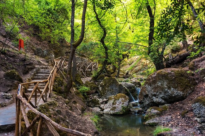 Rhodes & Lindos & Butterfly Valley - Private Half-day Excursion - The Sum Up: Is This Tour Right for You?