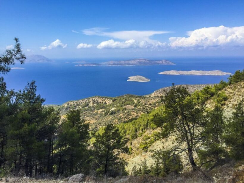 Rhodes North Safari: Hidden Paths & Scenic Flavors - Final Thoughts