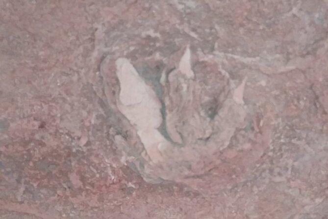 Rhodes Off Road Adventures Guided Jeep Tour from Rock Crawling to Petroglyphs - Practical Details and Tips