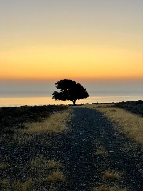 Rhodes: Pefkos-Navarone Bay, the magic of sunrise - Why This Tour Stands Out