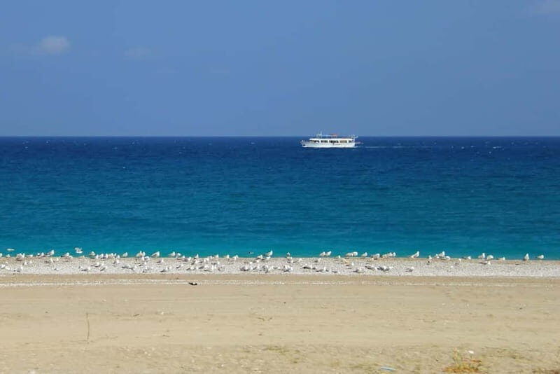 Rhodes: Safari with our driver - North - Pick ups West Coast - Value and Who Should Consider This Tour