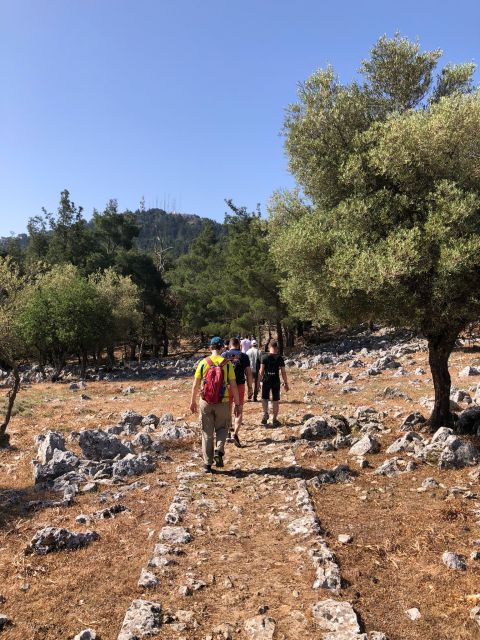 Rhodes: Salakos to Profitis Ilias 4 hours Guided Hike - The Sum Up: Who Should Consider This Tour?