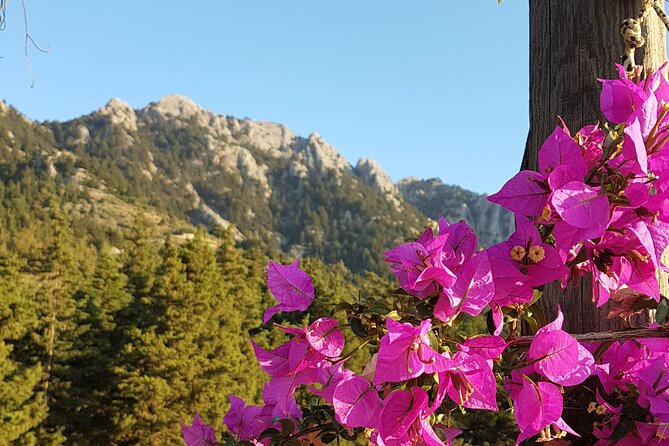 Rhodes Self Drive 4x4 Offroad Adventure with Gourmet Lunch - FAQ