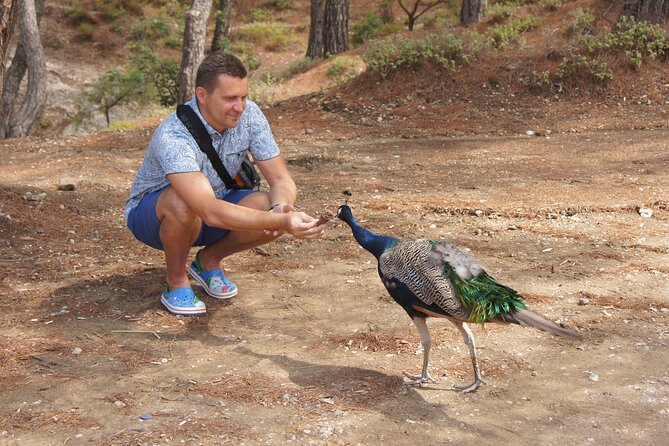 Rhodes Self Drive 4x4 Wilderness Expedition & Traditional Lunch - FAQ