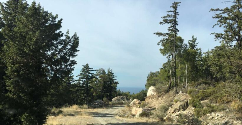 Rhodes South Safari: Mountains & Local Flavors - Key Points
