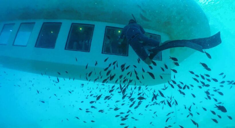 Rhodes Town: Submarine Cruise with Underwater Views - Authentic Experiences and Traveler Feedback