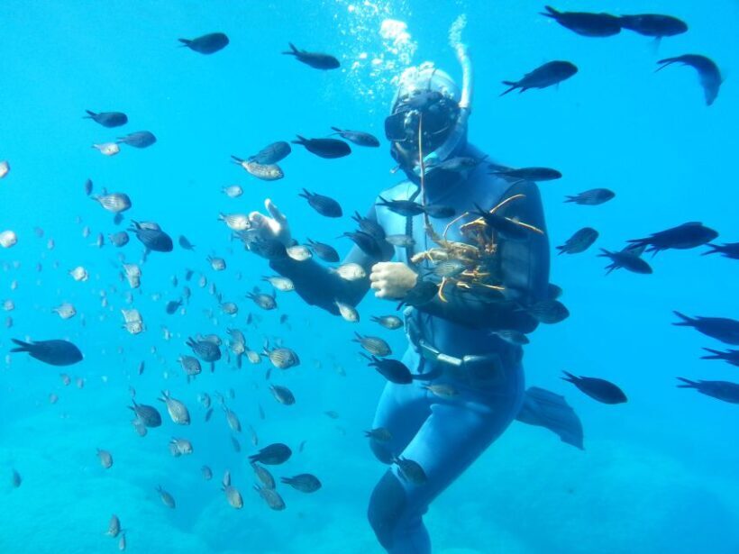 Rhodes Town: Yellow Submarine Cruise with Underwater Views - Rhodes Town: Yellow Submarine Cruise with Underwater Views