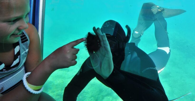 Rhodes Town: Yellow Submarine Cruise with Underwater Views - Key Points