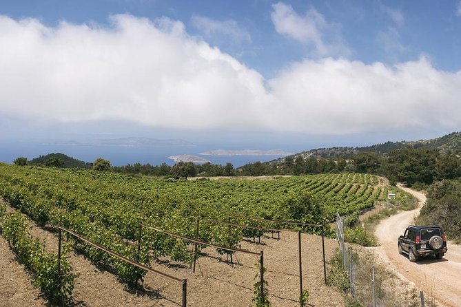 Rhodes Uncharted South Safari: Mountains, Monasteries, & Flavors - Key Points