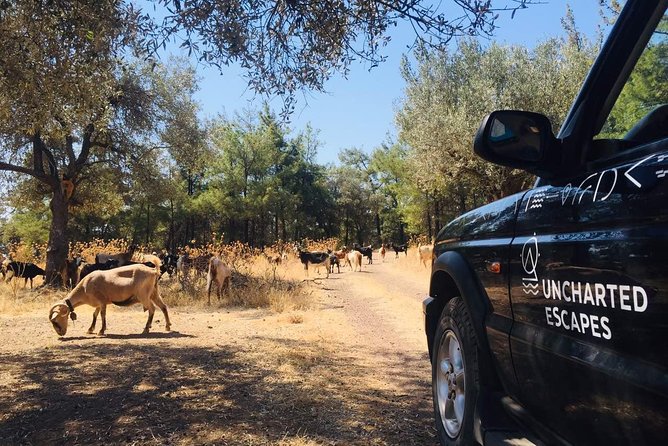 Rhodes Uncharted South Safari: Mountains, Monasteries, & Flavors - The Sum Up