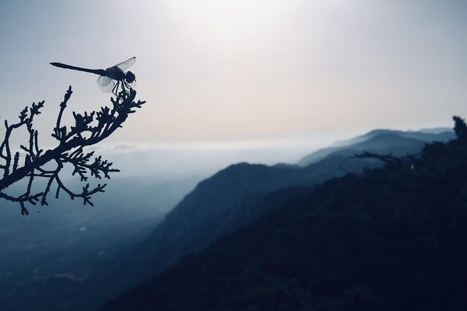 Rhodes Uncharted South Safari: Mountains, Monasteries, & Flavors - FAQ