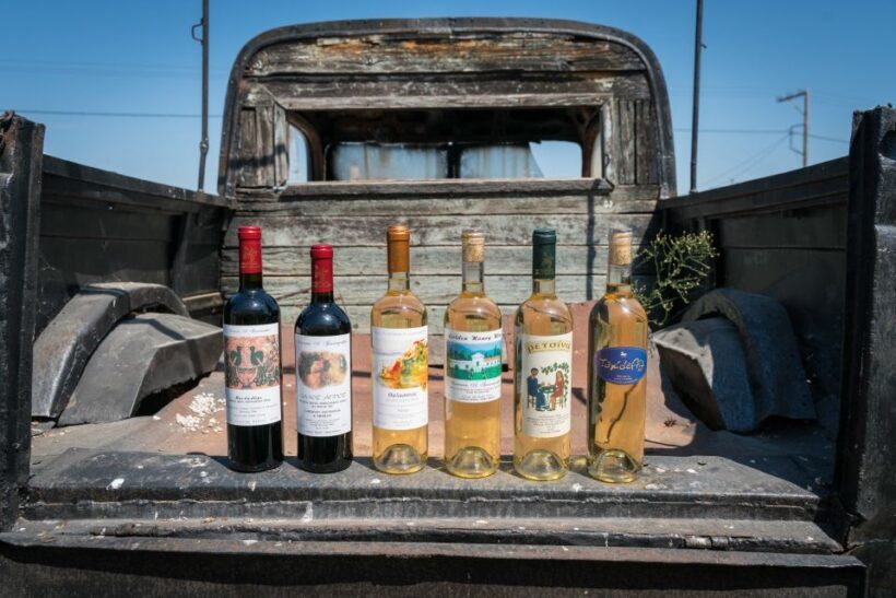 Rhodes: Winery Tour and Tasting Experience - An In-Depth Look at the Rhodes Winery Experience