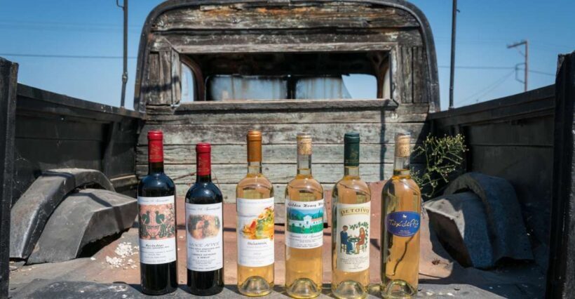 Rhodes: Winery Tour and Tasting Experience - Who Will Love This Tour?