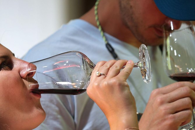 Rhodes:Kamiros,Kritinia,Embona,Mt Profitis Ilias & Kallithea Tour - Tour Overview