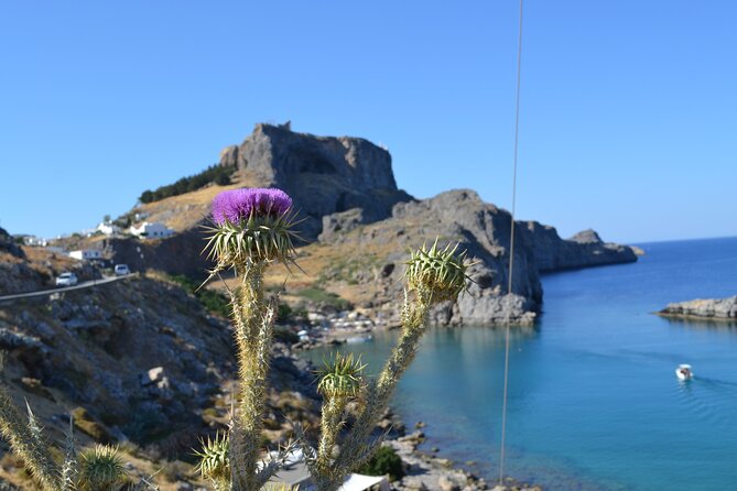Rhodos-Vip: Guided Tour to Lindos village + Butterflies Valley - Who Will Love This Tour?