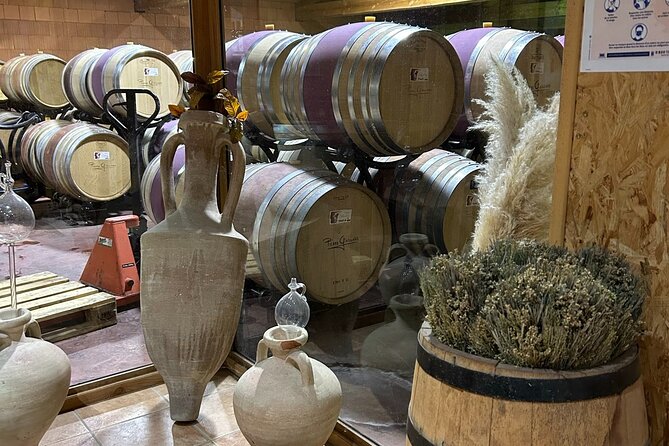 Rhône Valley Wine & Chocolate Tasting Private Day Tour from Lyon - Final Thoughts