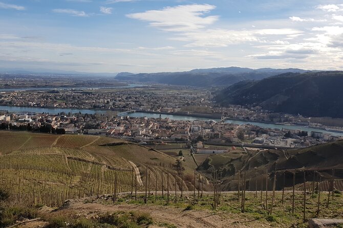 Rhône Valley Wine Tasting Private Day Tour From Lyon - Sampling Regional Wines