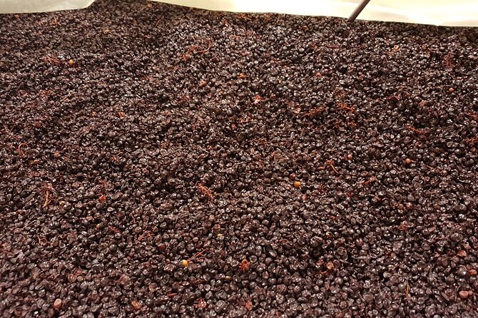 Rhône Valley Wine Tasting Private Day Tour From Lyon - Pickup, Pricing, and Cancellation Details