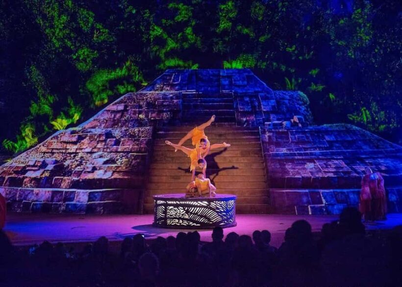 Rhythms of the Night with Buffet, Open Bar, and Cirque du Soleil-style Show - Key Points
