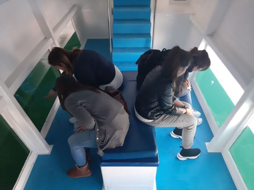 Ría de Arousa: Boat Ride to Mussel Farm with Tasting - Exploring the Ría de Arousa: A Mussel Farm Boat Tour with Tasting