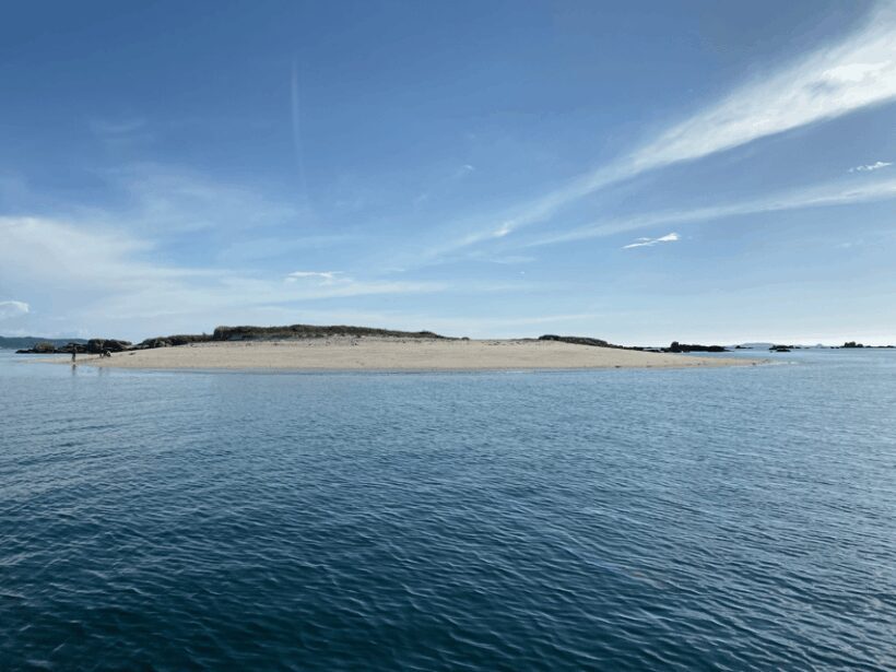 Ría de Arousa: Daytime or Sunset Sailboat Cruise with drinks - Introduction