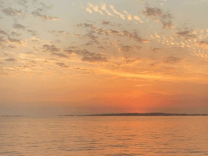 Ría de Arousa: Daytime or Sunset Sailboat Cruise with drinks - Analyzing the Value