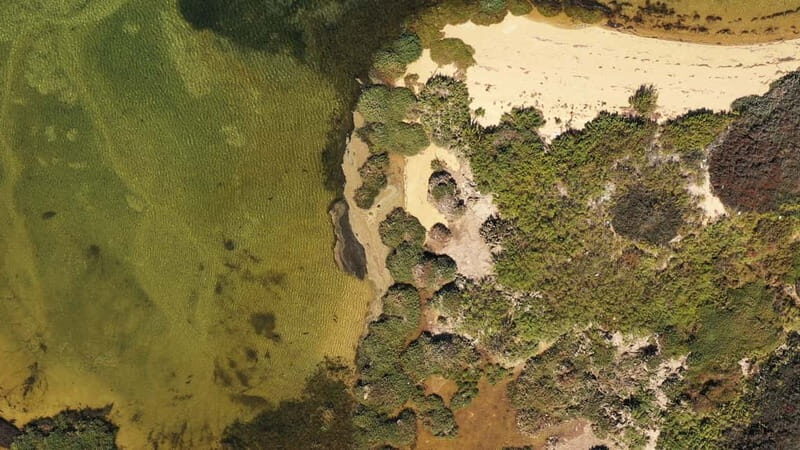 Ria Formosa: Armona and Culatra Islands 3-Hour Boat Tour - The Value of This Experience