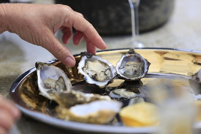 Ria Formosa - Boat trip to the 3 Islands: Armona | Culatra Island | Lighthouse - Practical Details