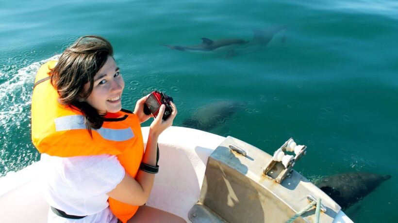 Ria Formosa: Dolphin-Watching Boat Tour - The Itinerary: What You Can Expect During Your Tour