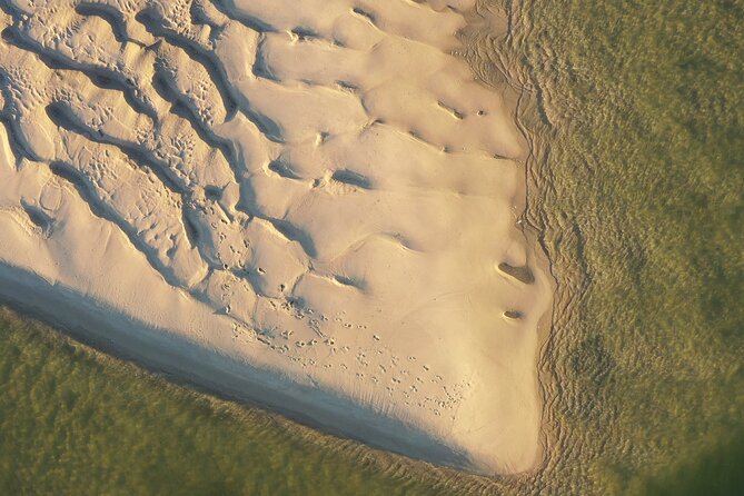 Ria Formosa & Ilhas: Private Tour for Two or in Group - Customer Reviews