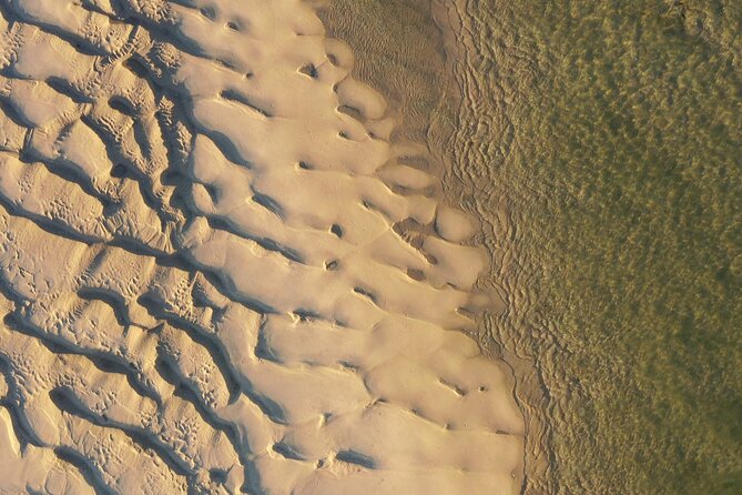 Ria Formosa & Ilhas: Private Tour for Two or in Group - The Sum Up