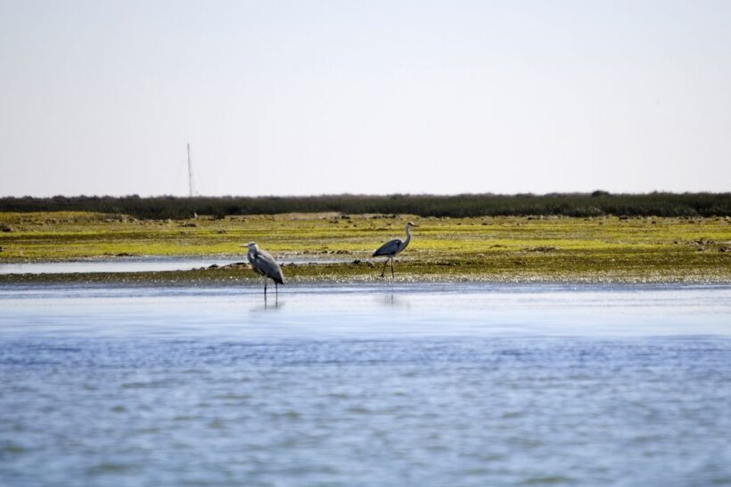Ria Formosa National Park: Kayak Trip - FAQs