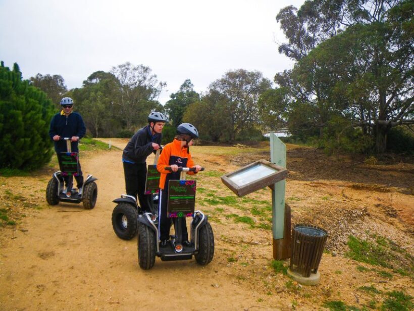 Ria Formosa National Park Segway Tour & Seafood Lunch - Exploring Algarve’s Natural Beauty: Ria Formosa Segway Tour & Seafood Lunch