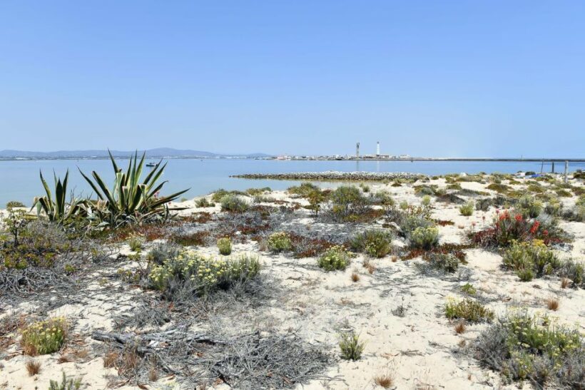 Ria Formosa: Sightseeing boat Tour from Olhão - Final Words
