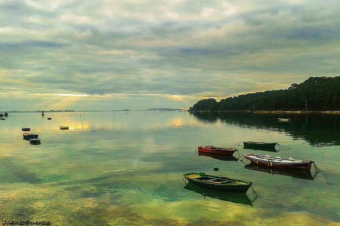 Rías Baixas Private Tour With Wine Tasing, Food, Mussels Boat and Pickup - Traveler Reviews