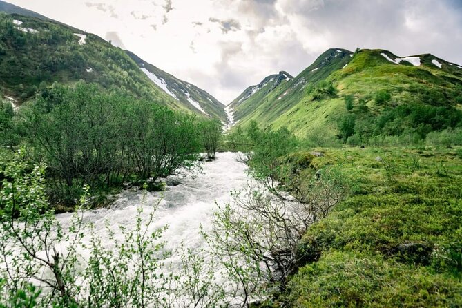 RIB Expedition to Seiland National Park - 3.5h - Traveler Reviews and Ratings