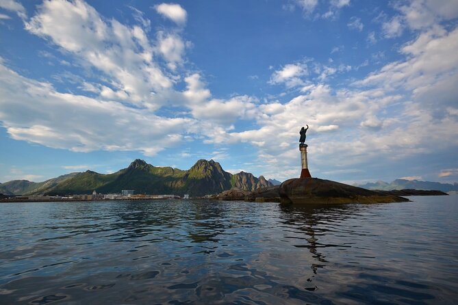 RIB Sea Eagle Safari Trollfjord Cruise - Booking and Availability
