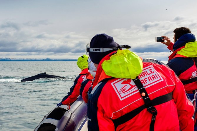 RIB Whale Watching Small-Group Boat Tour From Reykjavik - Health and Safety Guidelines
