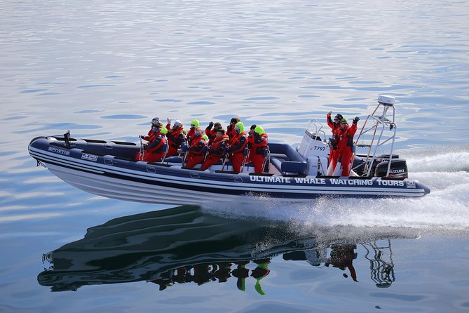 RIB Whale Watching Small-Group Boat Tour From Reykjavik - Booking and Cancellation Policy