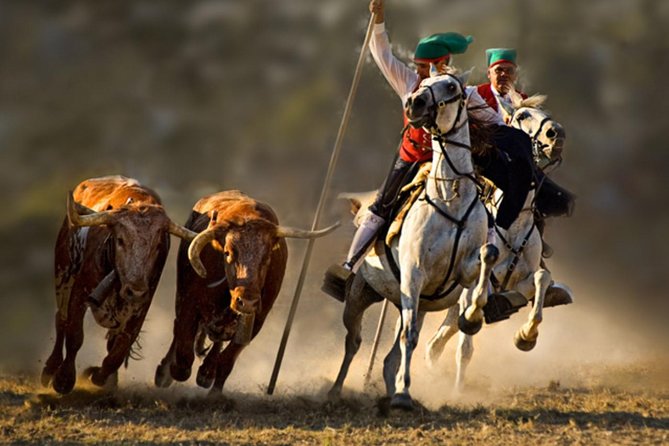 RIBATEJO - ALL INCLUDED, one day trip in Salvaterra de Magos and Escaroupim Tour - Starting from Lisbon: Comfort from the Get-Go