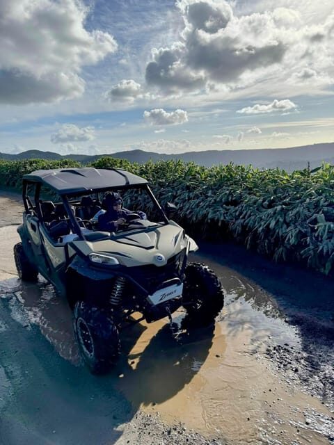 Ribeira Grande: Sete Cidades Buggy tour - The Experience in Action