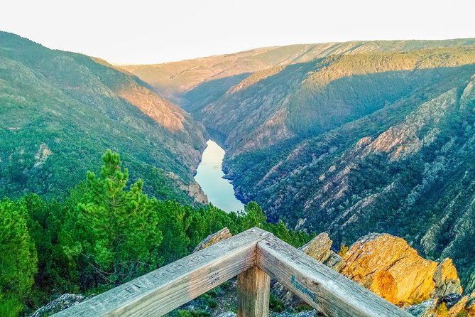 Ribeira Sacra, "Heroic Wines" Private Tour from Santiago - Authentic Feedback from Travelers