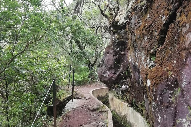 Ribeiro Frio - Portela - Pricing and Booking