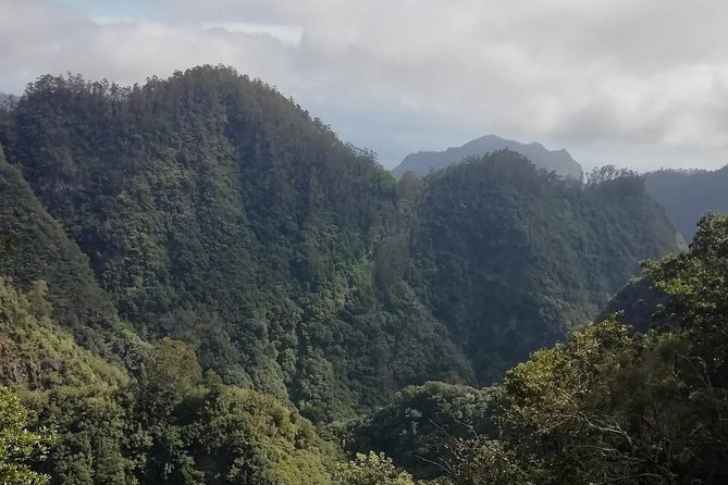 Ribeiro Frio - Portela - Reviews and Ratings