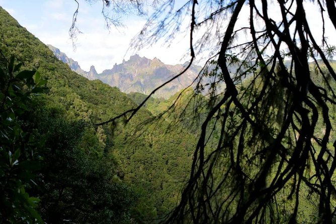 Ribeiro Frio - Portela - Exploring the Laurissilva Forest