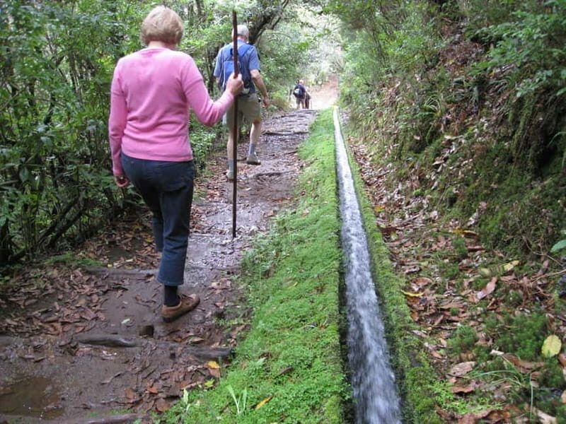 Ribeiro Frio / Portela Full day hike - What to Expect on the Trail