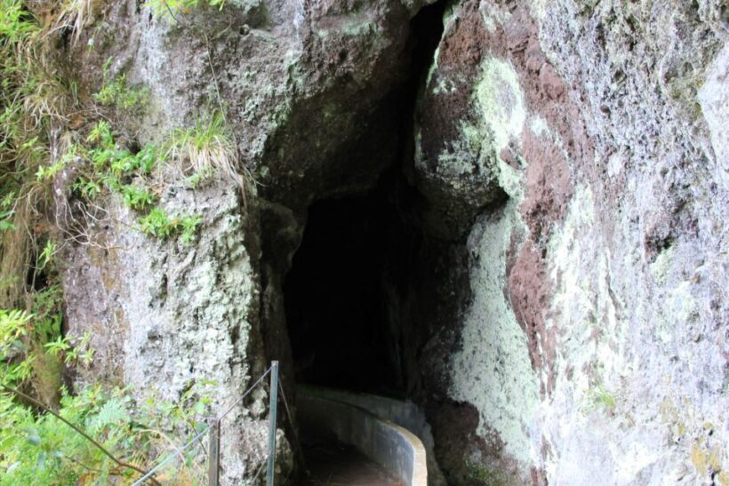 Ribeiro Frio - Portela - Levada do Furado - What’s Included and What’s Not