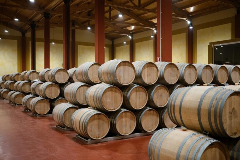Ribera del Duero: Experience, vineyard and 4x4 mountain, aperitif and tasting. - Practical Information and Value