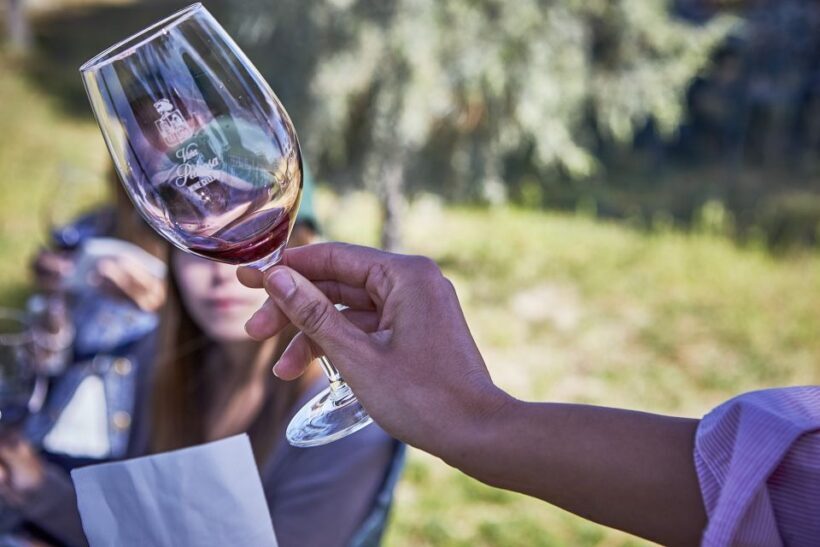 Ribera del Duero: Red Wine Discovery Tour with Tastings - Who Should Consider This Tour?